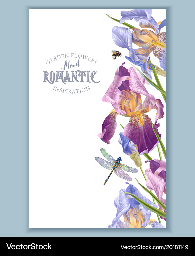 Iris vertical border Royalty Free Vector Image