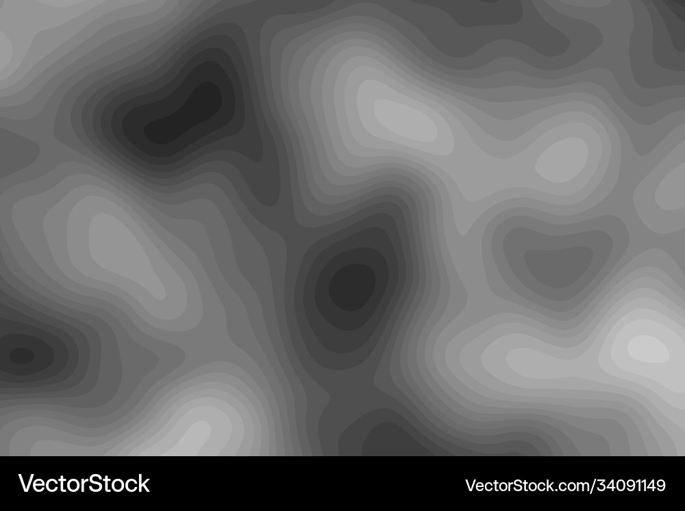 Topographic map texture Royalty Free Vector Image