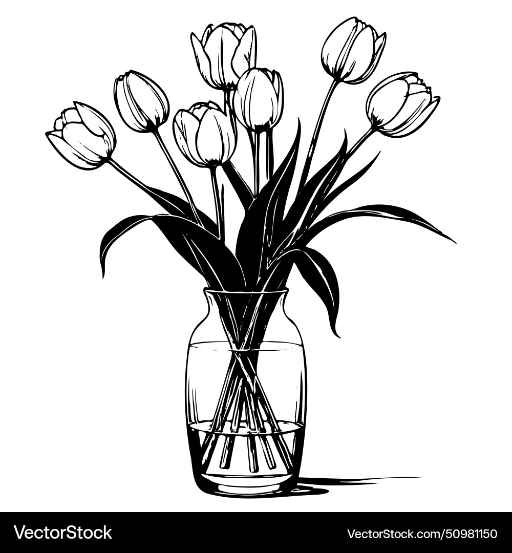 A vase white tulips sits on table Royalty Free Vector Image