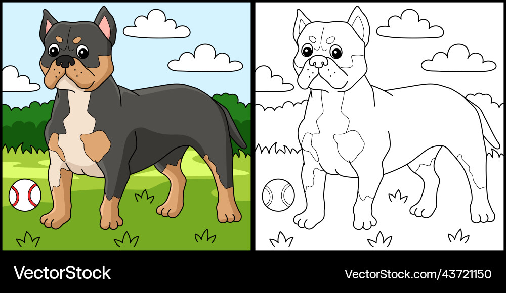 American bully dog coloring page Royalty Free Vector Image
