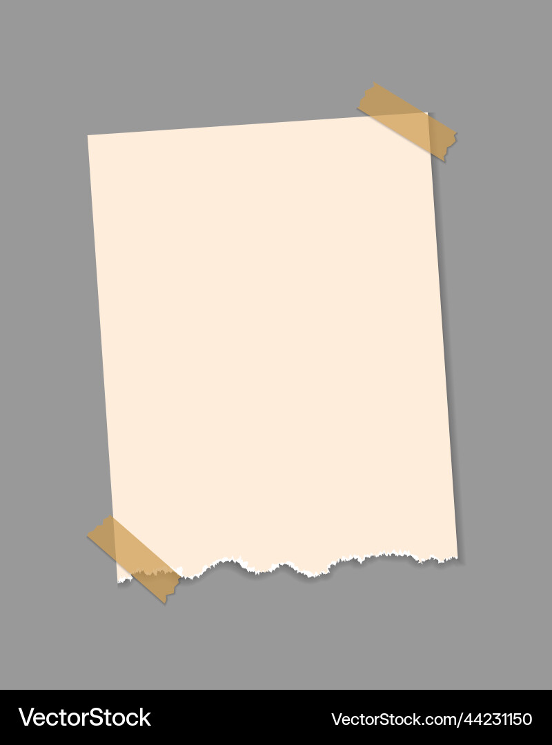 Torn paper real brown or ripped pieces Royalty Free Vector