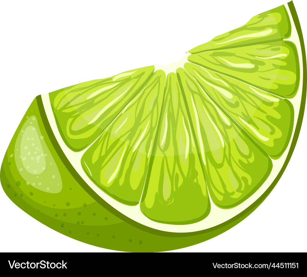 Lime piece cartoon Royalty Free Vector Image - VectorStock