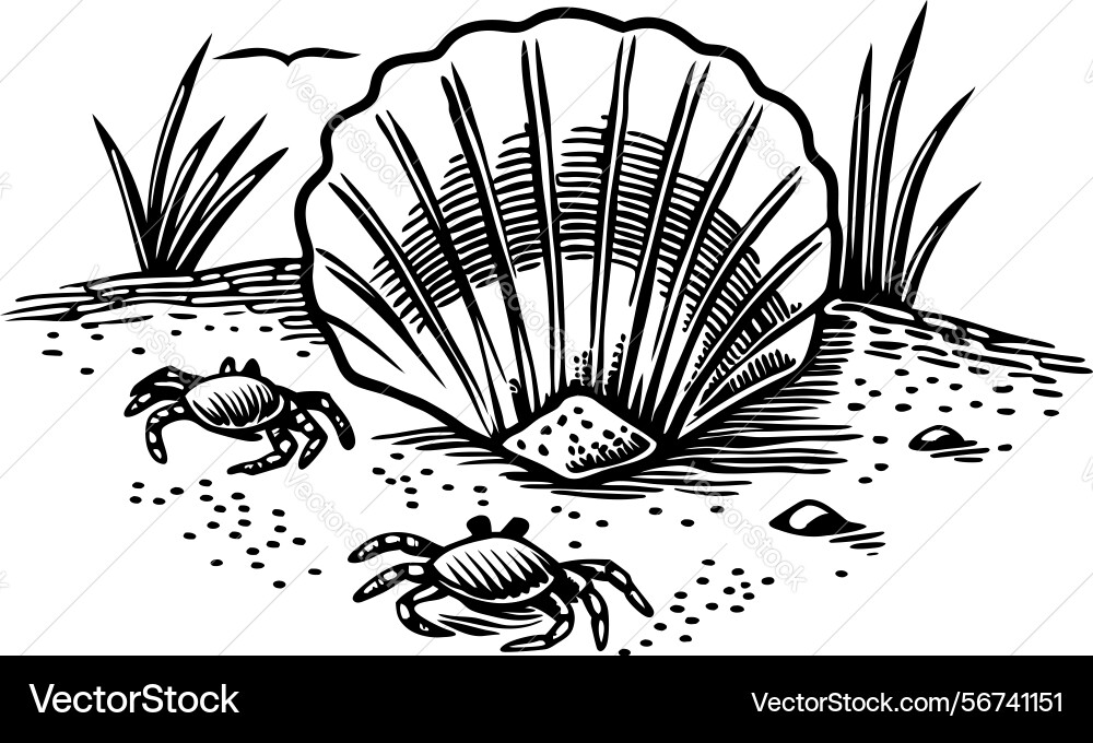 Shell scene with crabs and seagrass in marine Vector Image