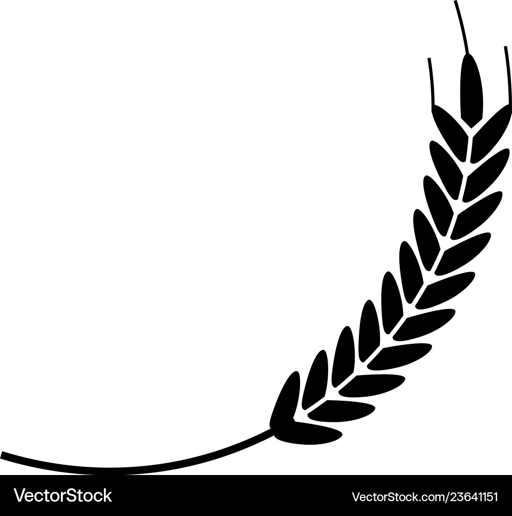 Wheat Symbol Vector Wheat Symbol Vector Icon Illustration Stock Vector
