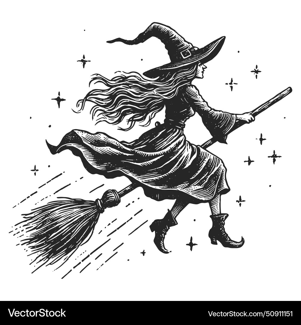 Witch flying on broomstick Royalty Free Vector Image