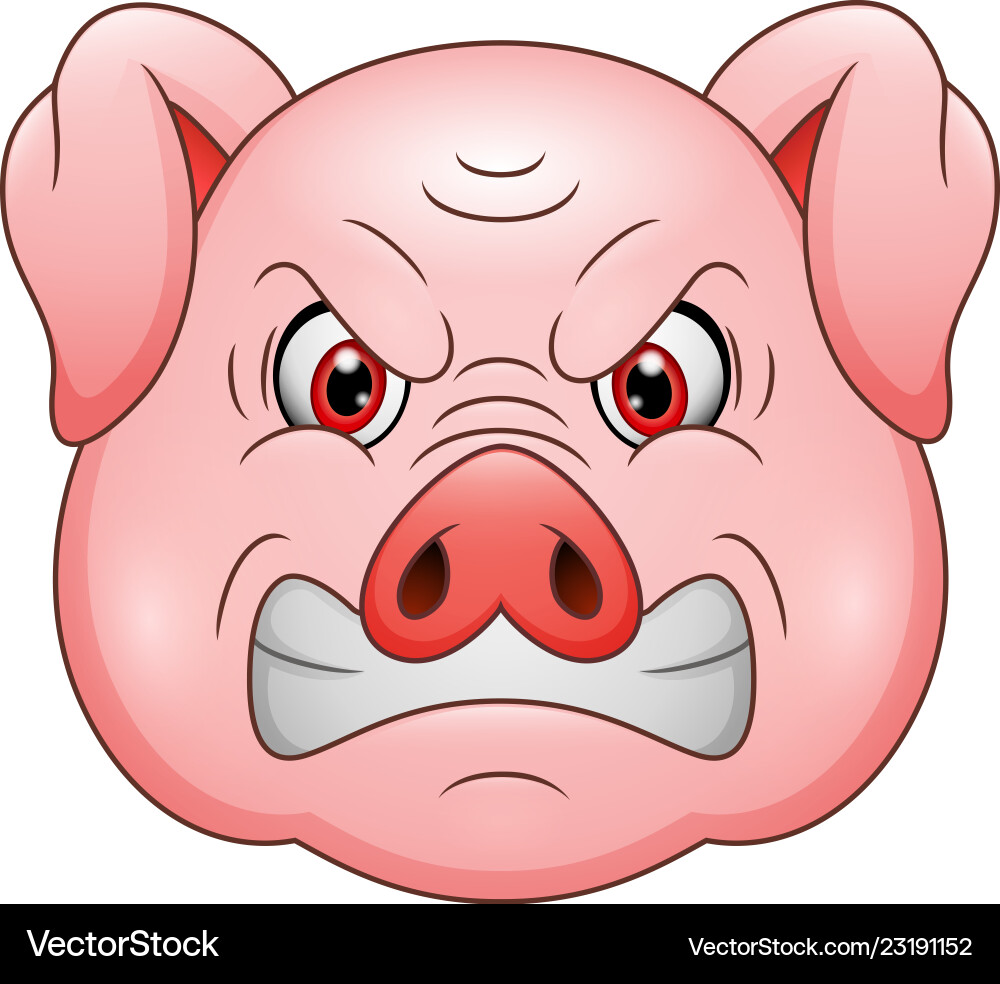 Angry pig head cartoon mascot Royalty Free Vector Image
