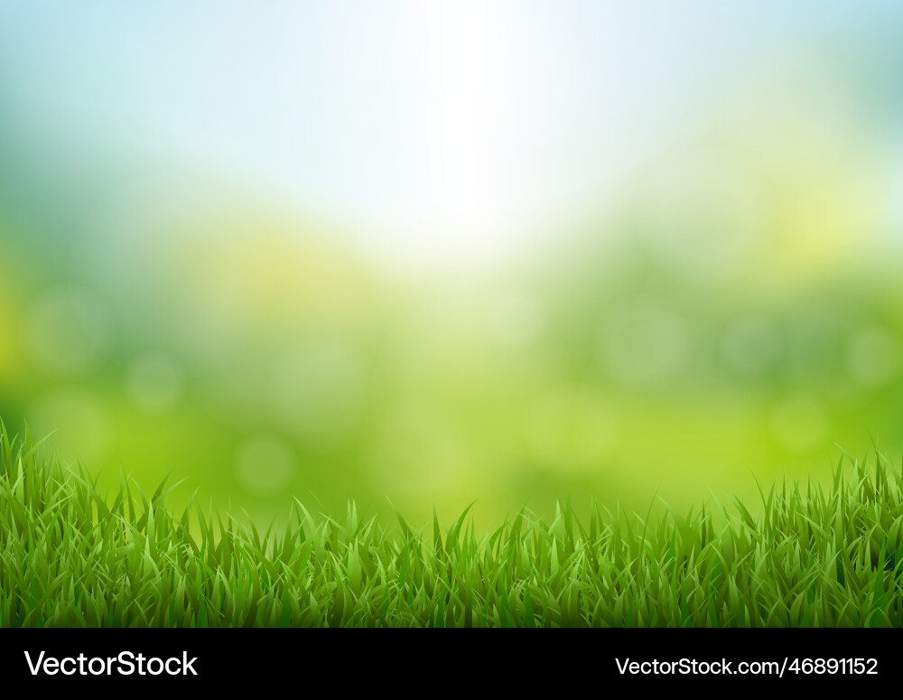Nature landscape with grass border Royalty Free Vector Image
