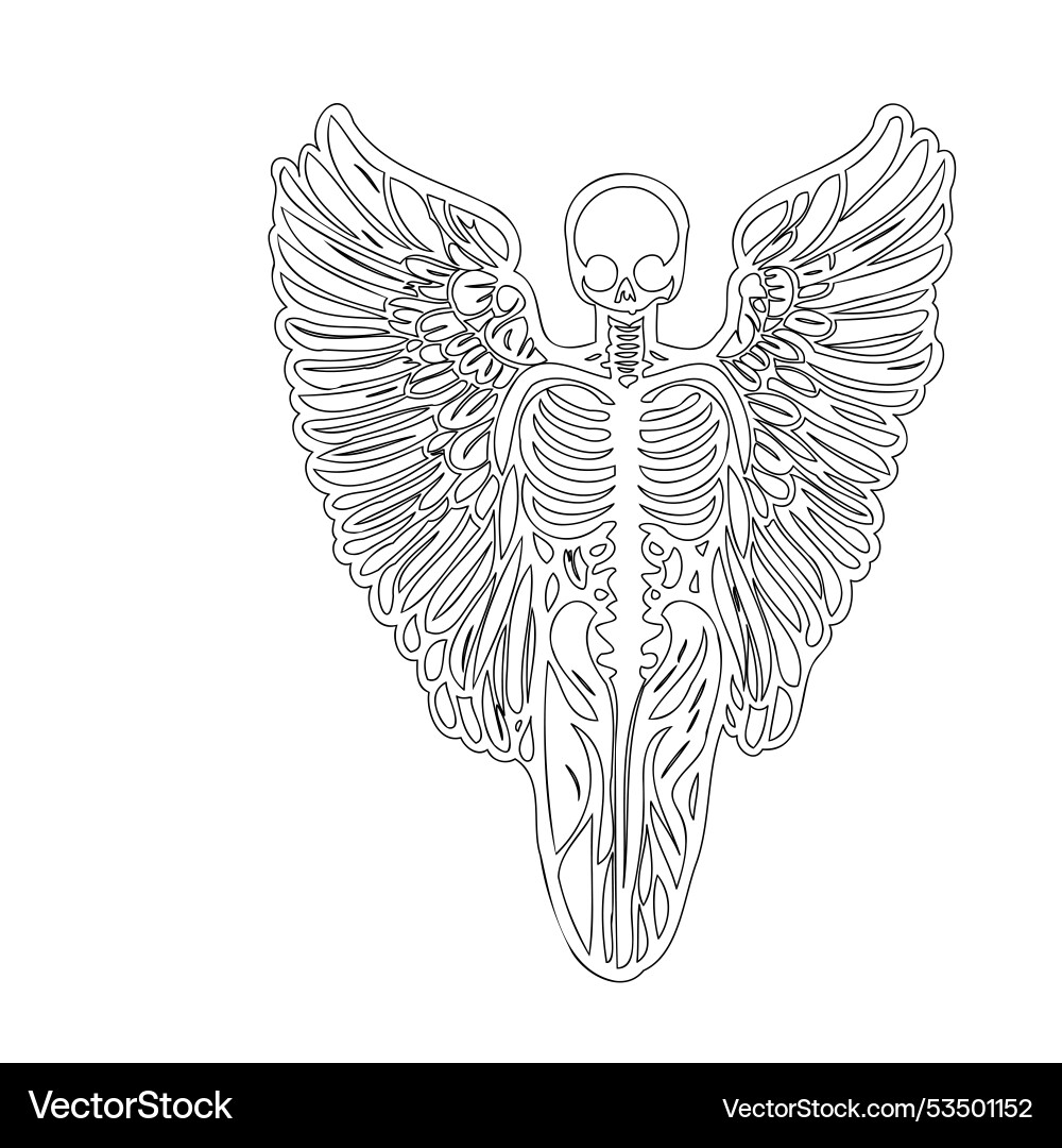 Skeleton angel outline sketch Royalty Free Vector Image