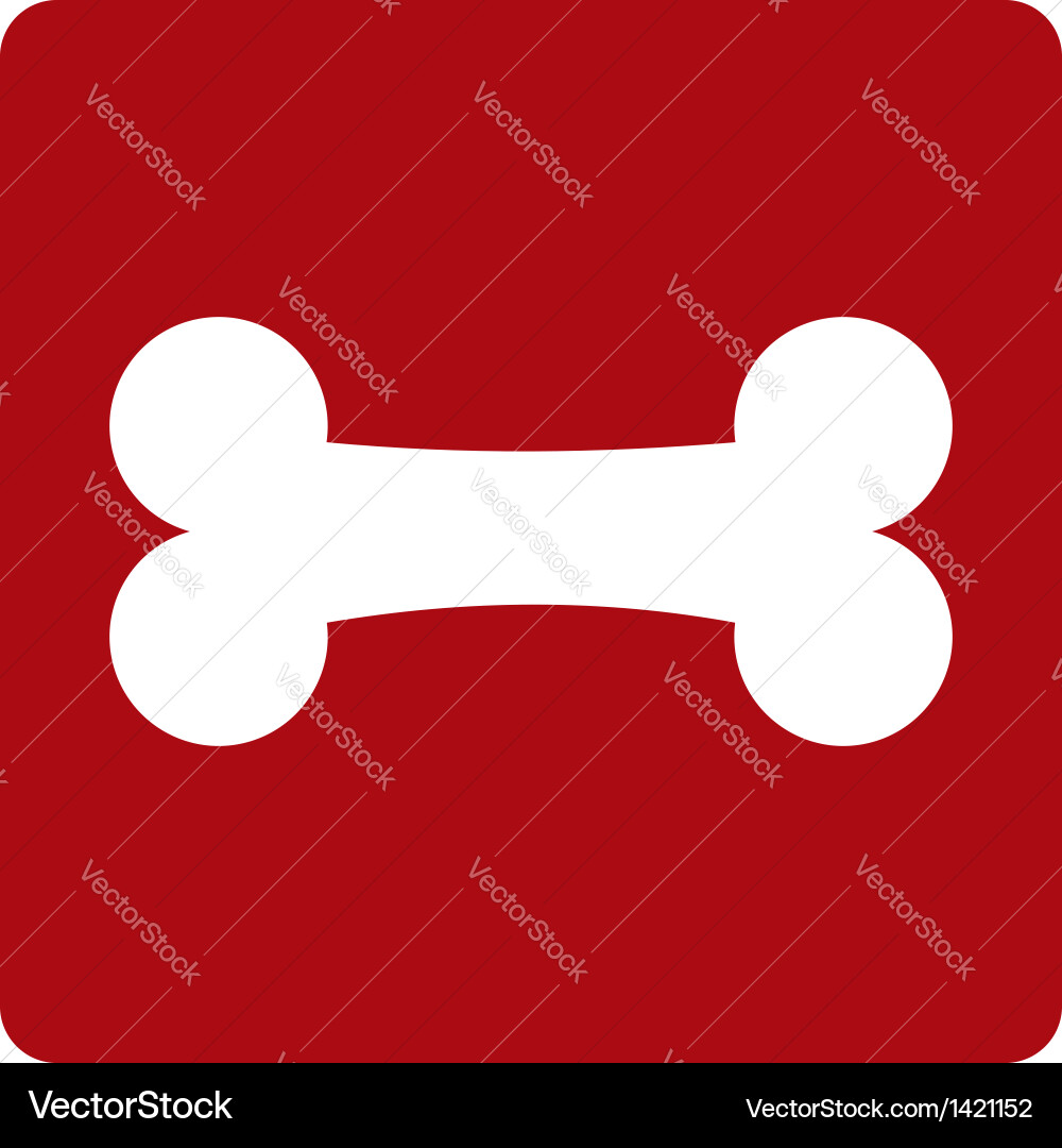White bone on red background Royalty Free Vector Image