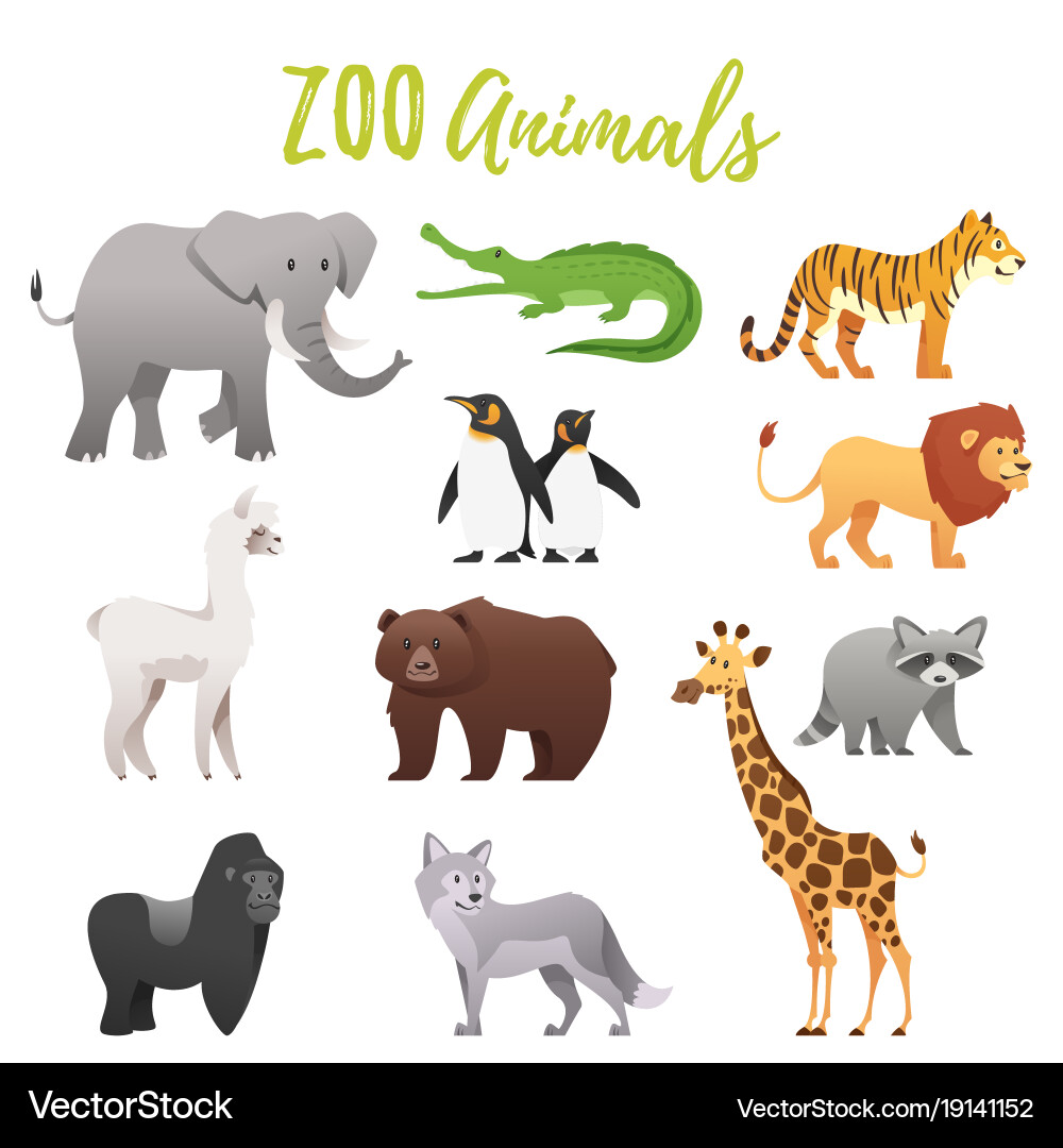 Zoo Animal Collection Royalty Free Vector Image