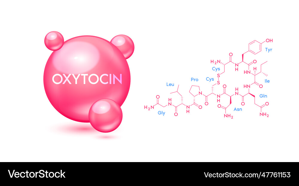Oxytocin model red and structural chemical Vector Image