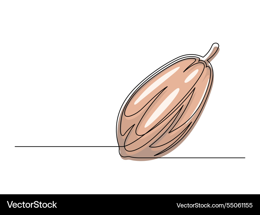 Continuous one line colorful cacao beans plant Vector Image