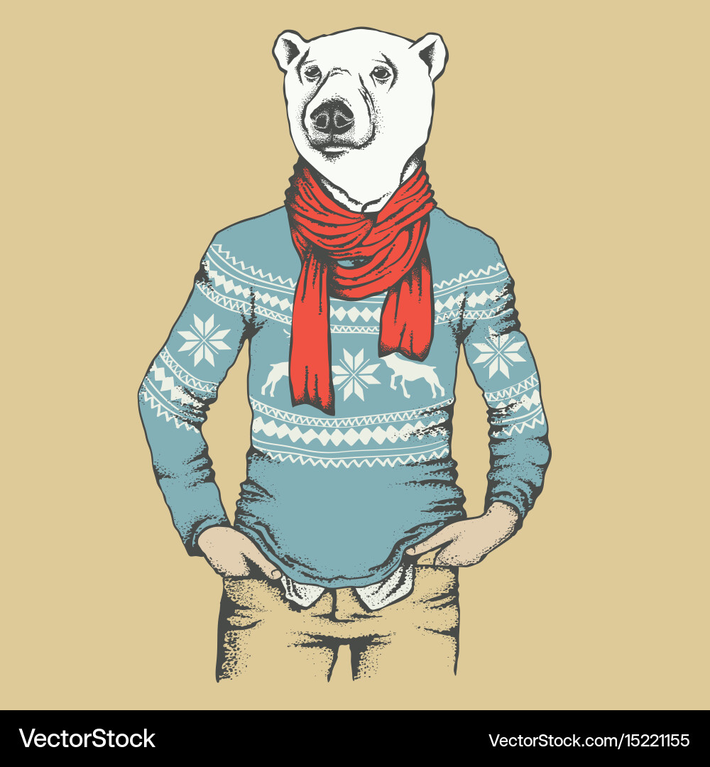 Polar Bear in Sweatshirt Royalty Free Vector Image