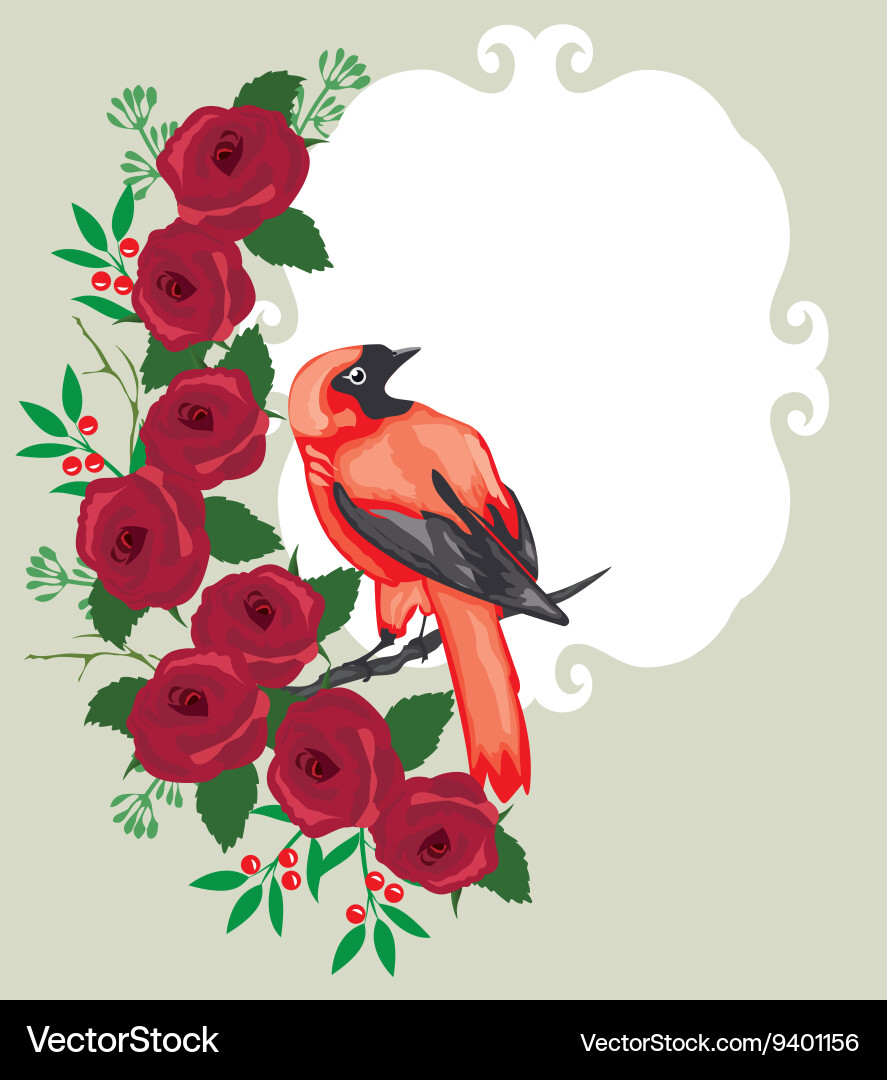 Bird frame Royalty Free Vector Image - VectorStock