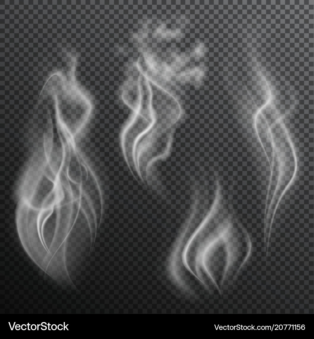 Realistic smoke on transparent background Vector Image