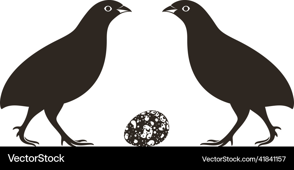 Quail Royalty Free Vector Image - VectorStock