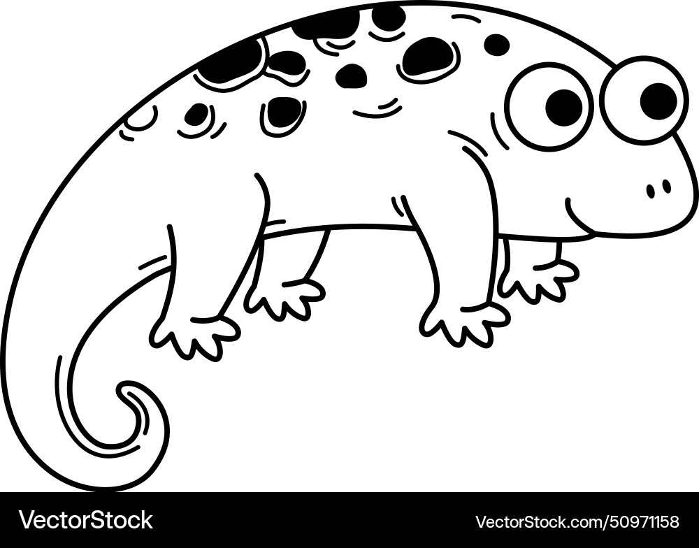 Hand drawn newt character Royalty Free Vector Image