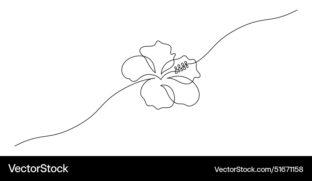 Hibiscus flower in one continuous line drawing Vector Image