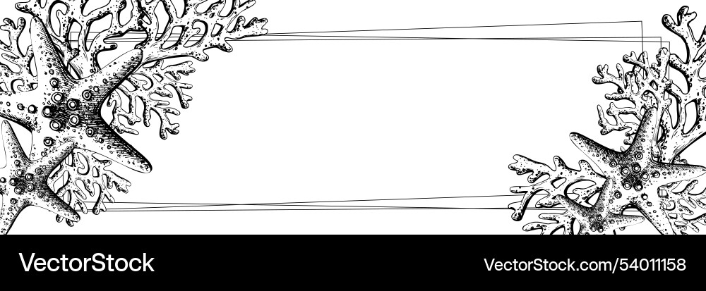 Starfish with coral branches hand drawn graphic Vector Image