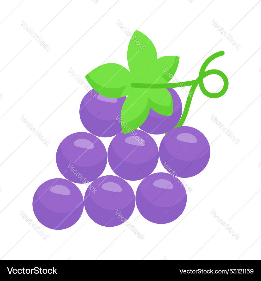 Grapes Royalty Free Vector Image - VectorStock