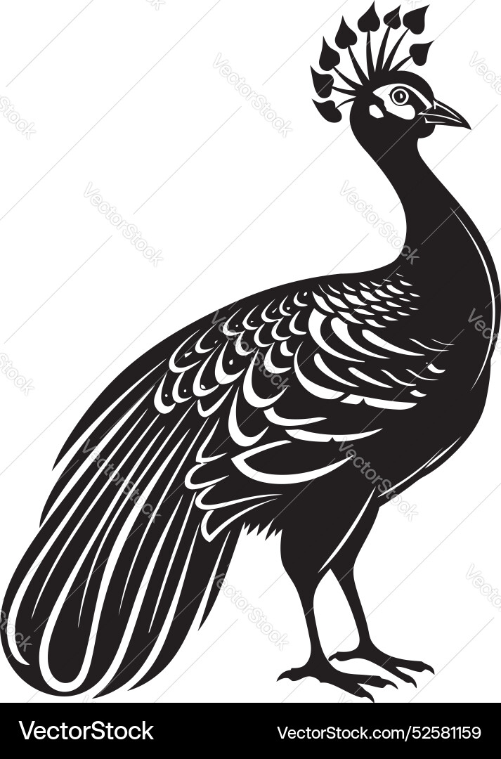 Royal splendor peacock black logo design icon Vector Image