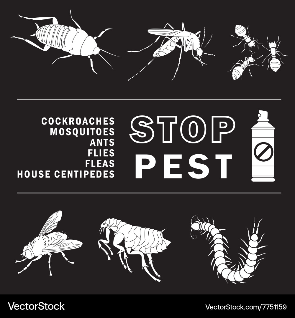 Stop pest Royalty Free Vector Image - VectorStock