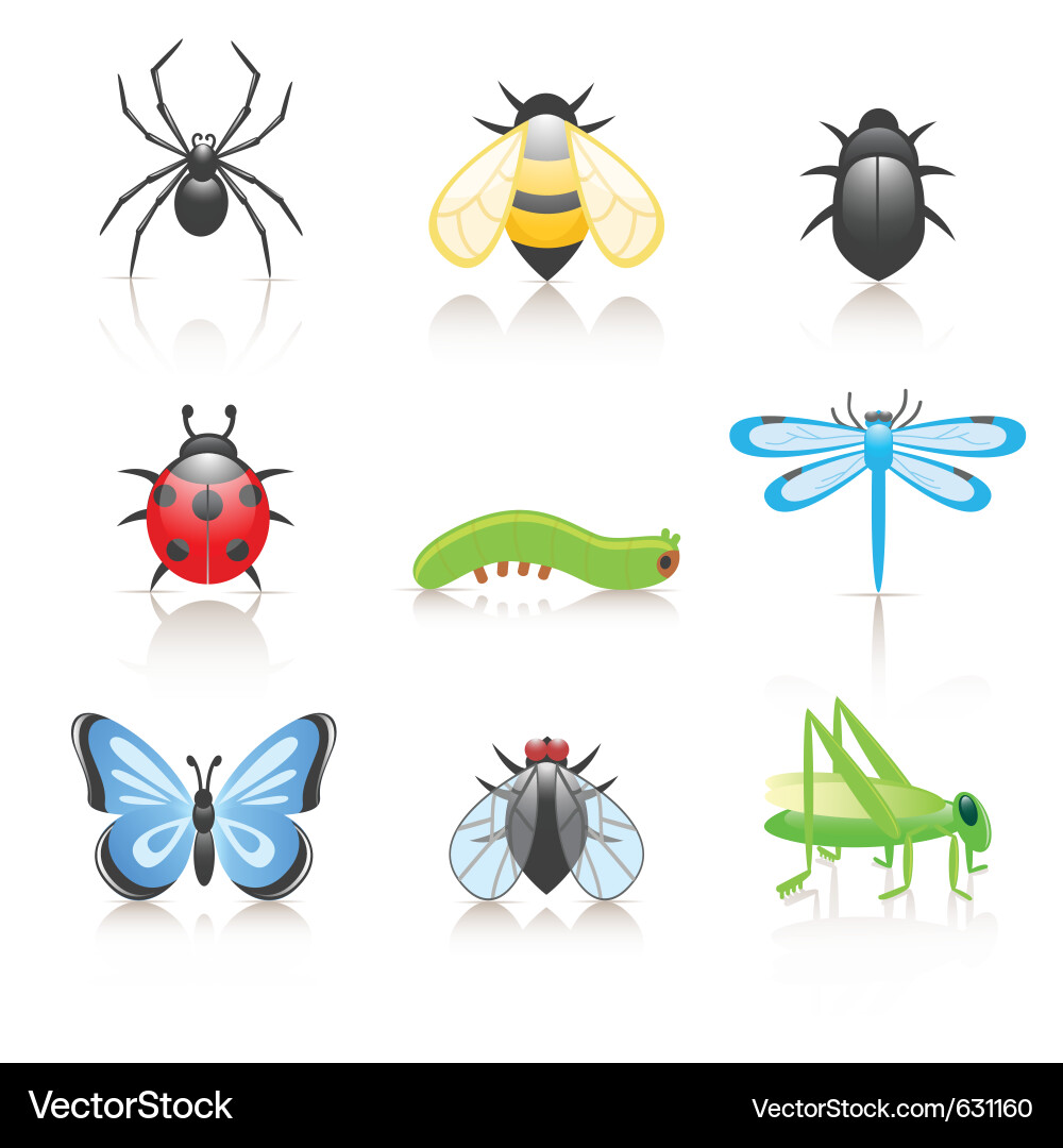 Cartoon insect icon set Royalty Free Vector Image