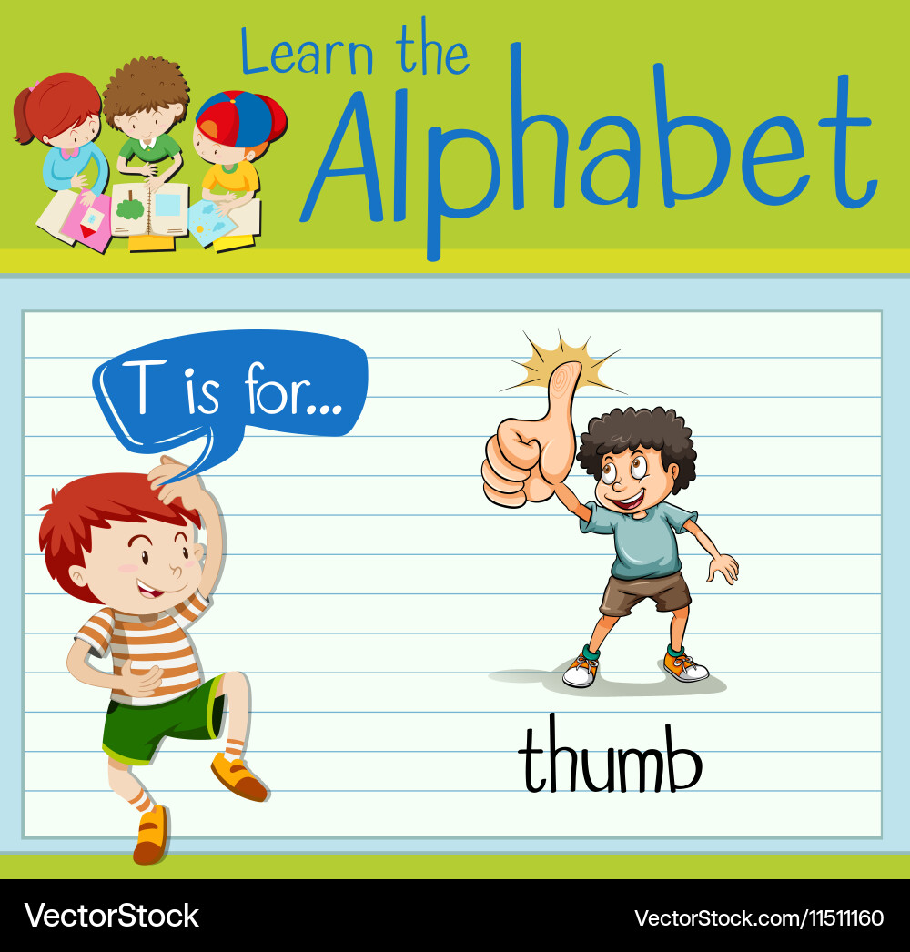Flashcard Buchstabe t ist für den Daumen Vektorbild