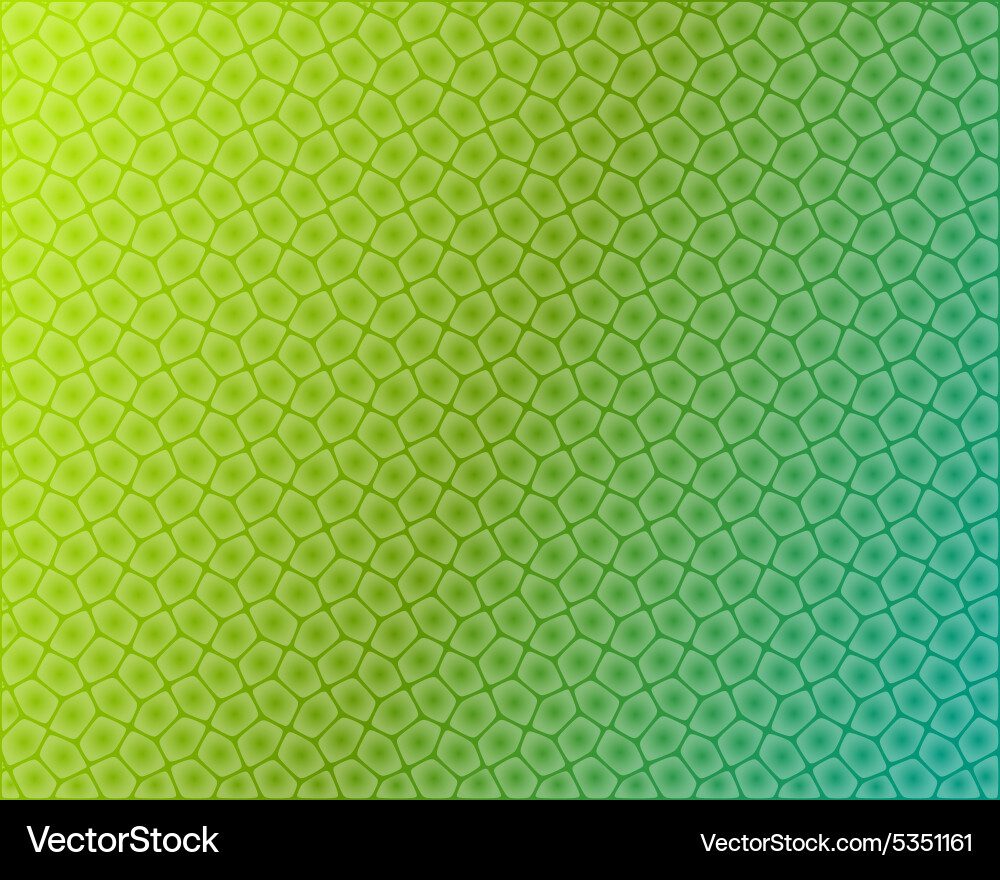 Abstract Plant Cell Pattern Royalty Free Vector Image