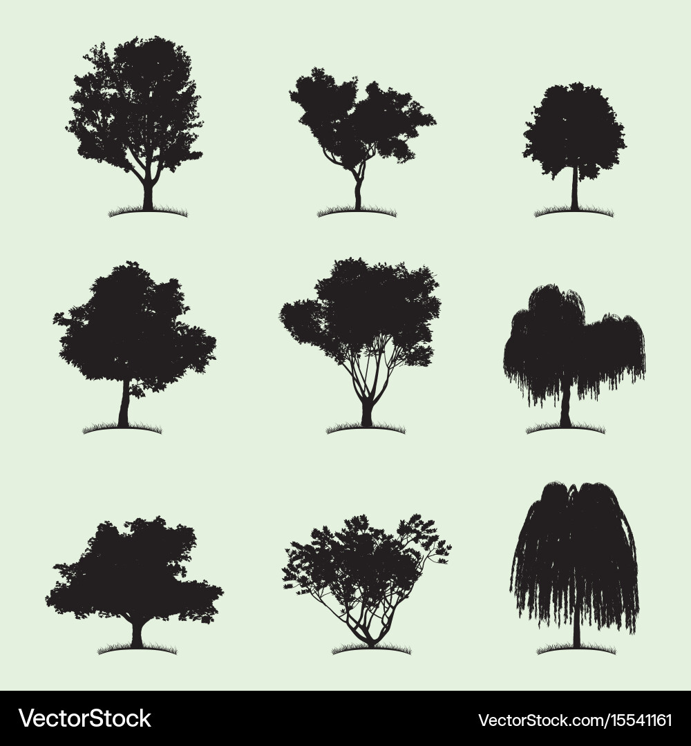 Mango Border Vector Images (over 310)