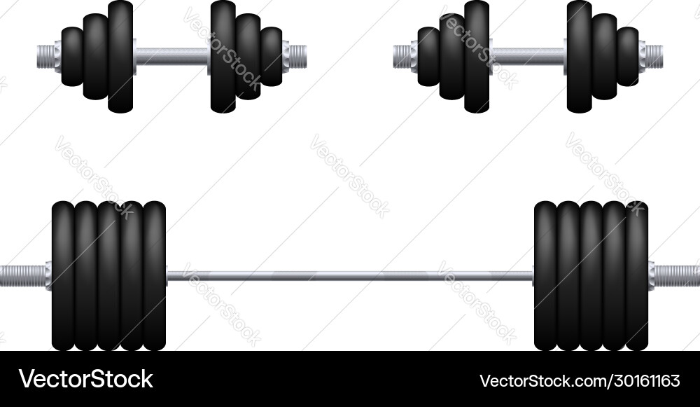 Barbell and dumbbells isolated Royalty Free Vector Image