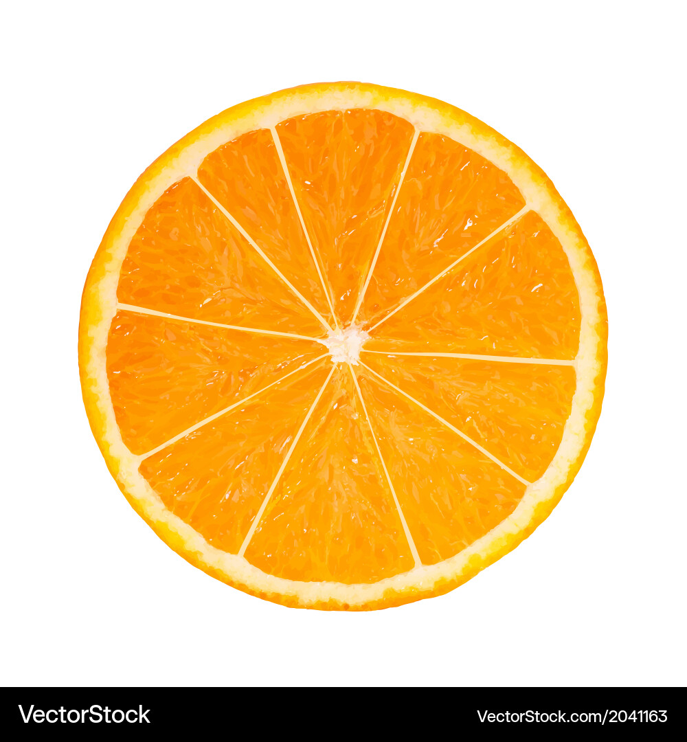 Photo-realistic orange slice Royalty Free Vector Image