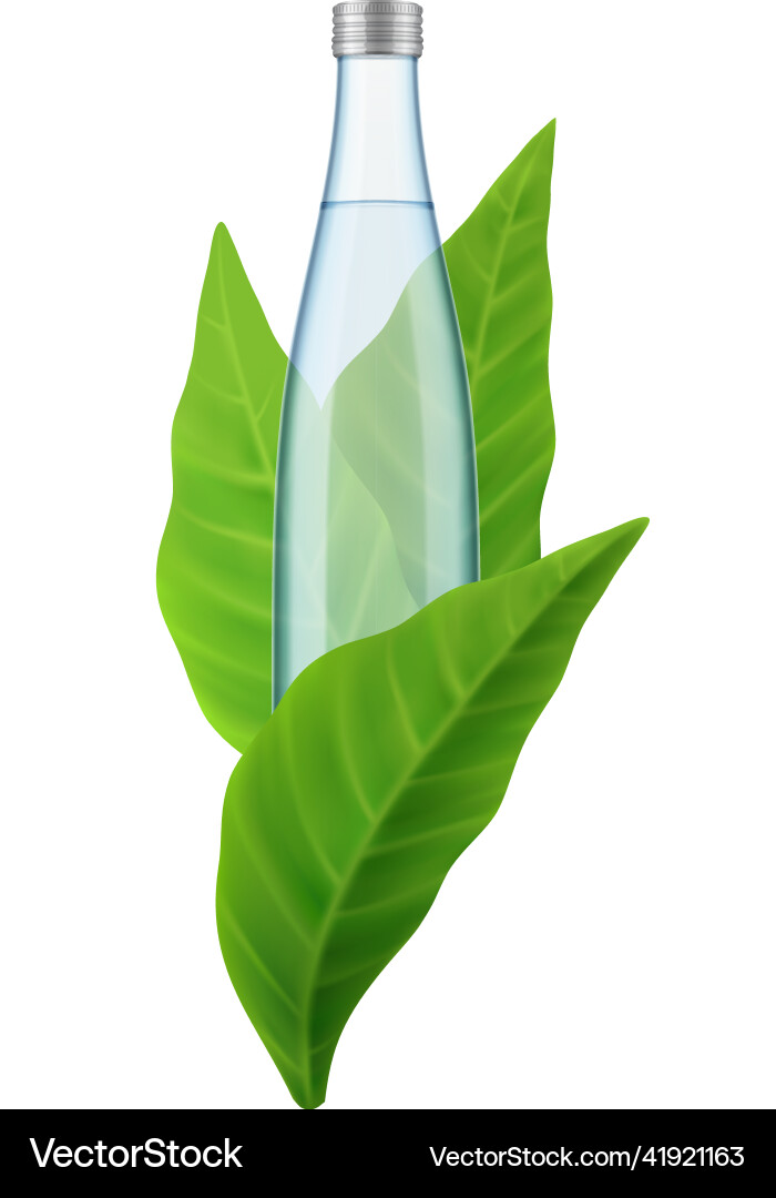 Pure mineral water composition Royalty Free Vector Image