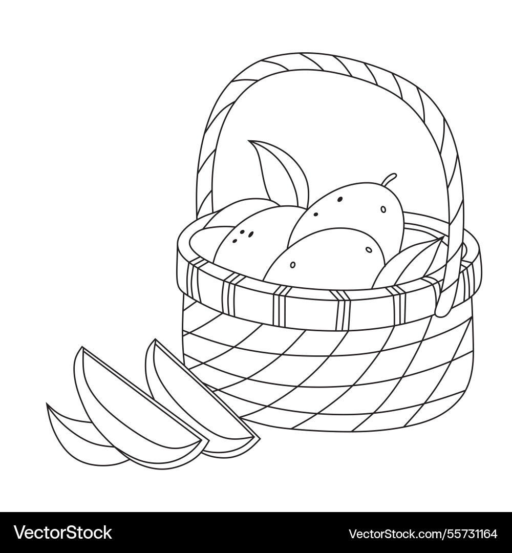 Line art mangoes in a basket Royalty Free Vector Image