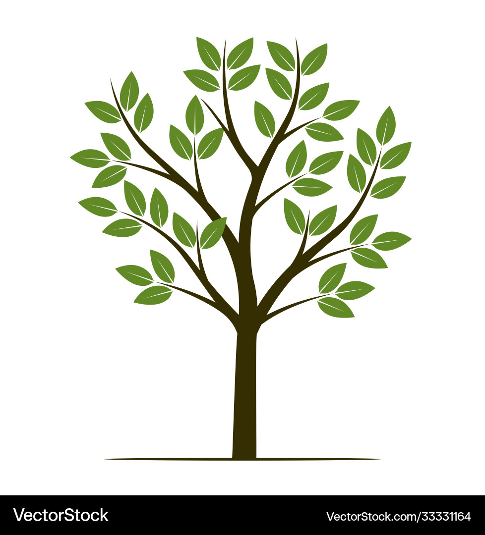 Shape tree with leaves fruits and roots Royalty Free Vector