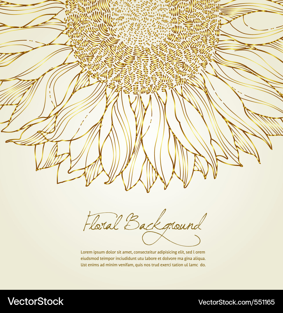 Floral sunflower background Royalty Free Vector Image
