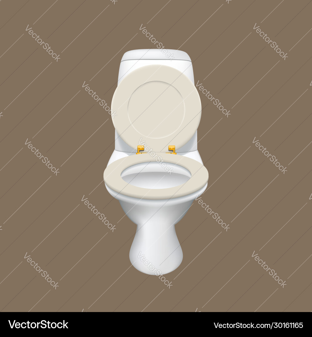 Realistic white toilet Royalty Free Vector Image