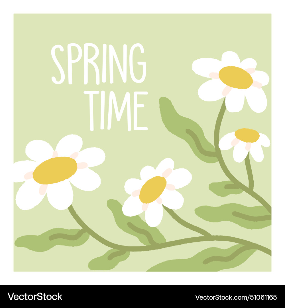 Spring time floral background delicate daisy Vector Image