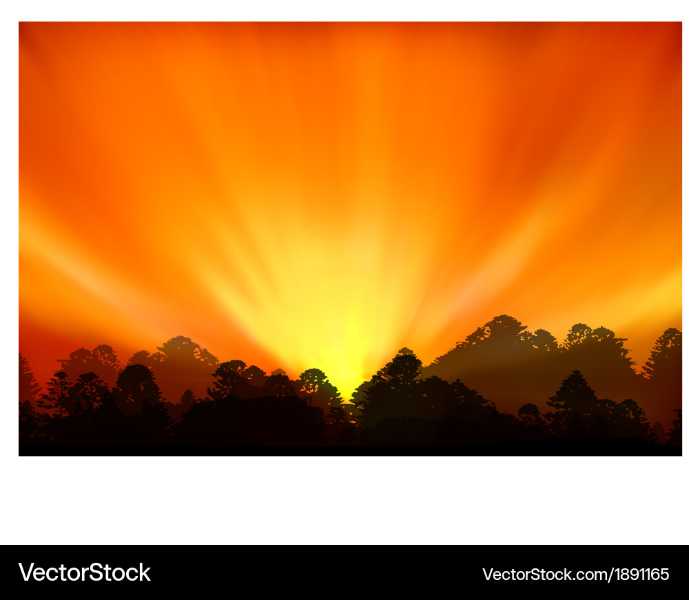 Sunset Royalty Free Vector Image - VectorStock