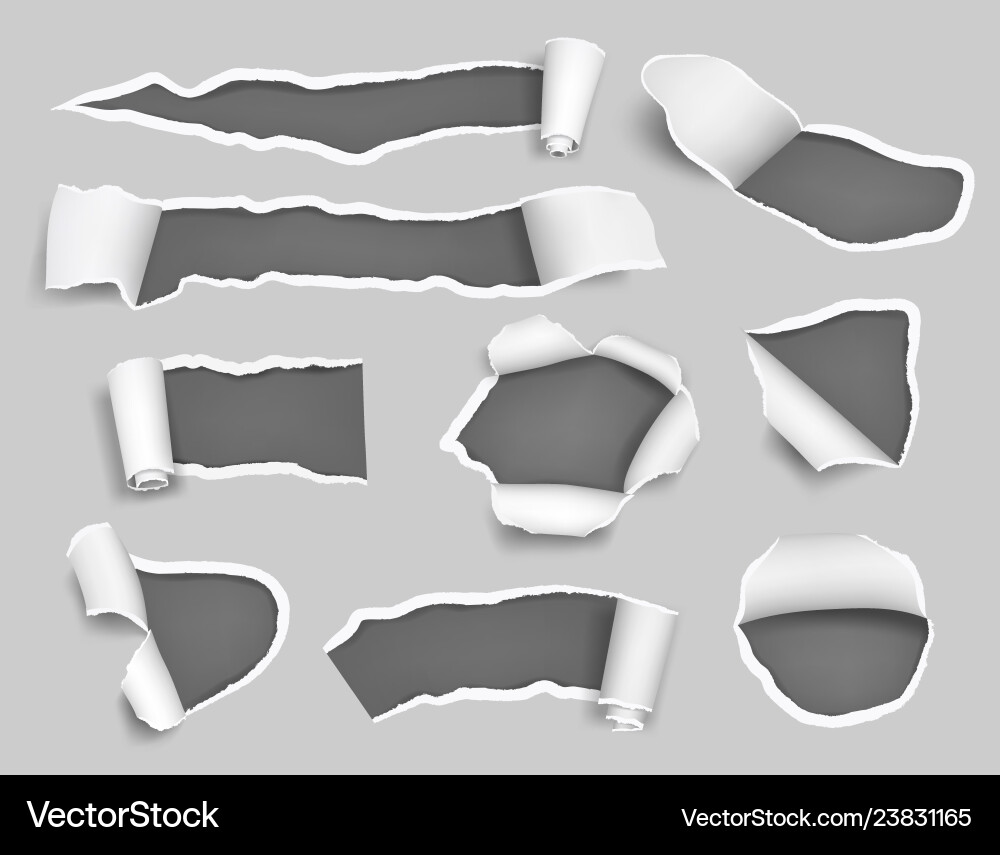 White paper ripped empty blank pages holes craft Vector Image