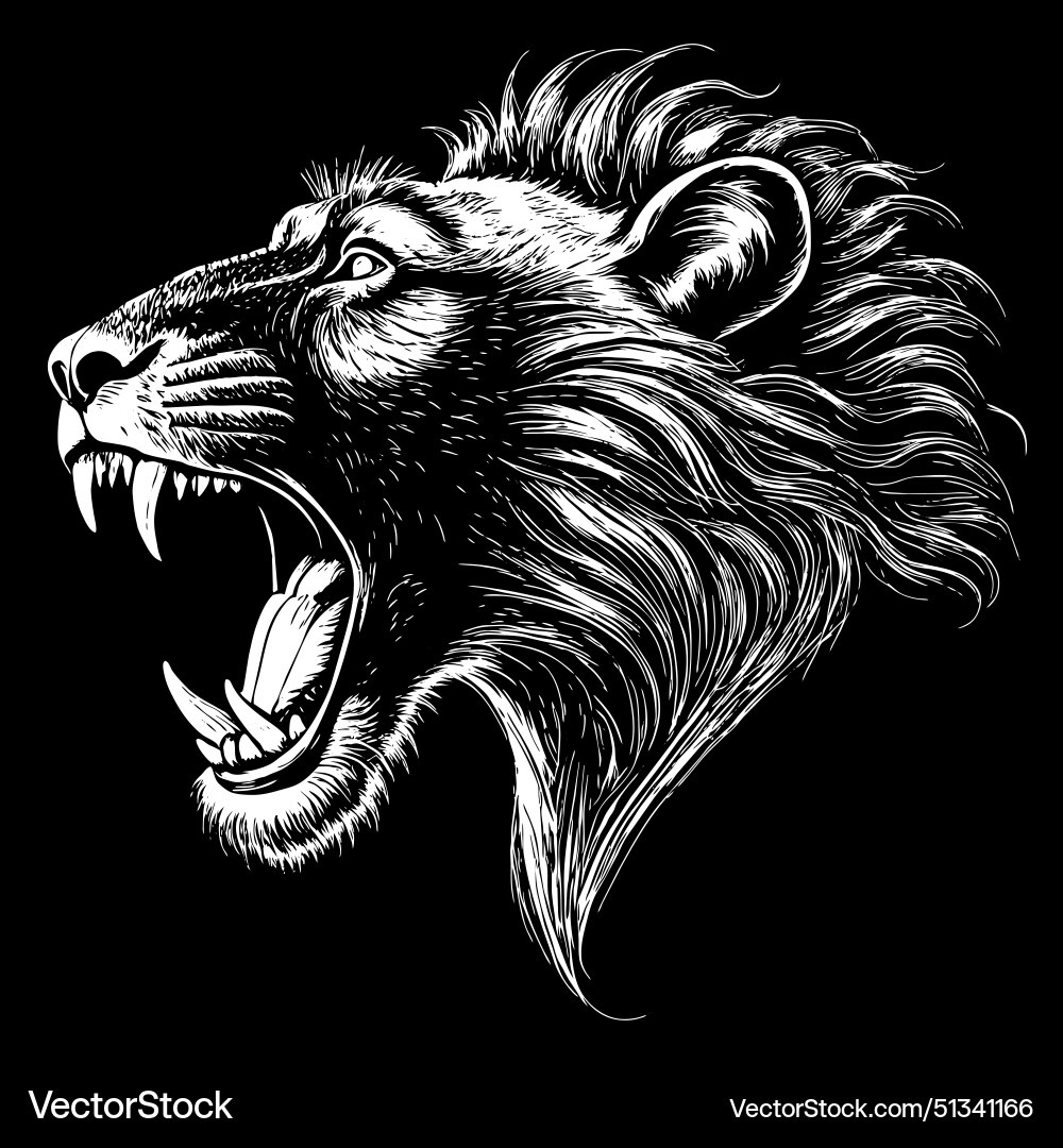 A lion with its mouth open and teeth bared Vector Image