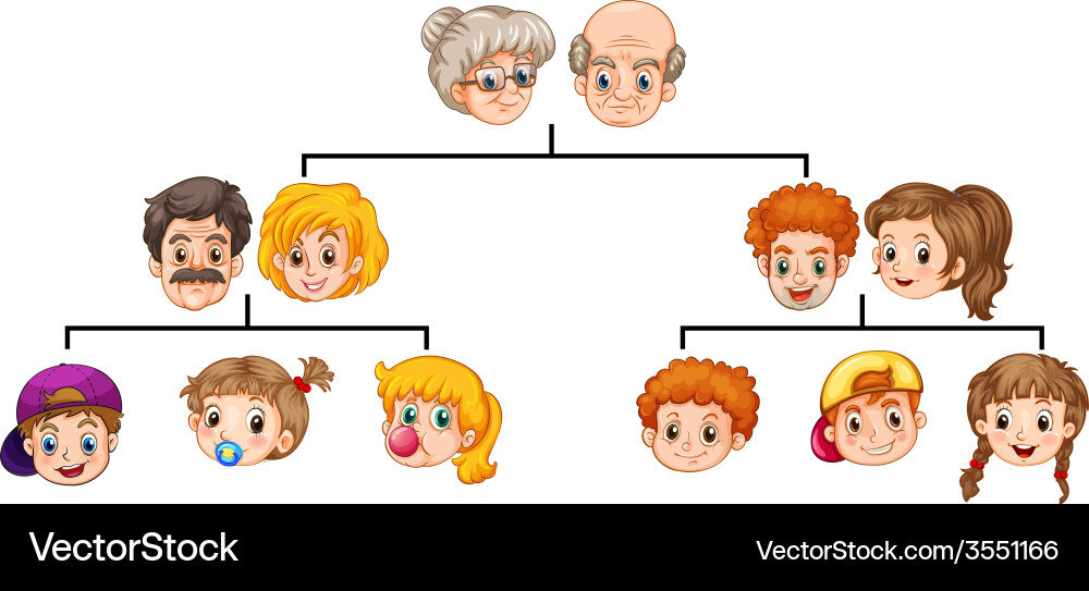 Family tree Royalty Free Vector Image - VectorStock