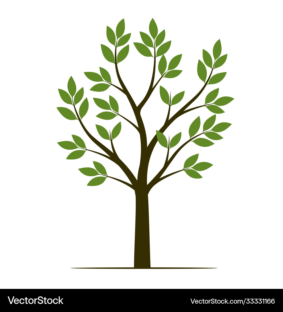 Shape tree with leaves fruits and roots Royalty Free Vector