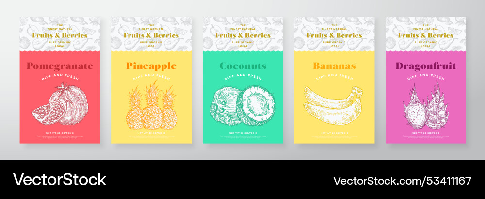 Fruits and berries pattern label templates set Vector Image