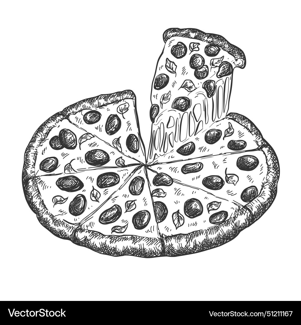 Hand drawn sketch pizza vintage Royalty Free Vector Image