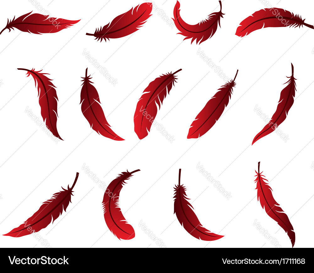 Beautiful feather design for logo Royalty Free Vector Image