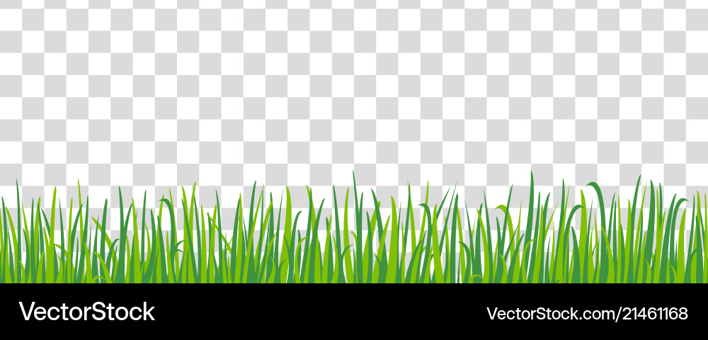 Grass background Royalty Free Vector Image - VectorStock