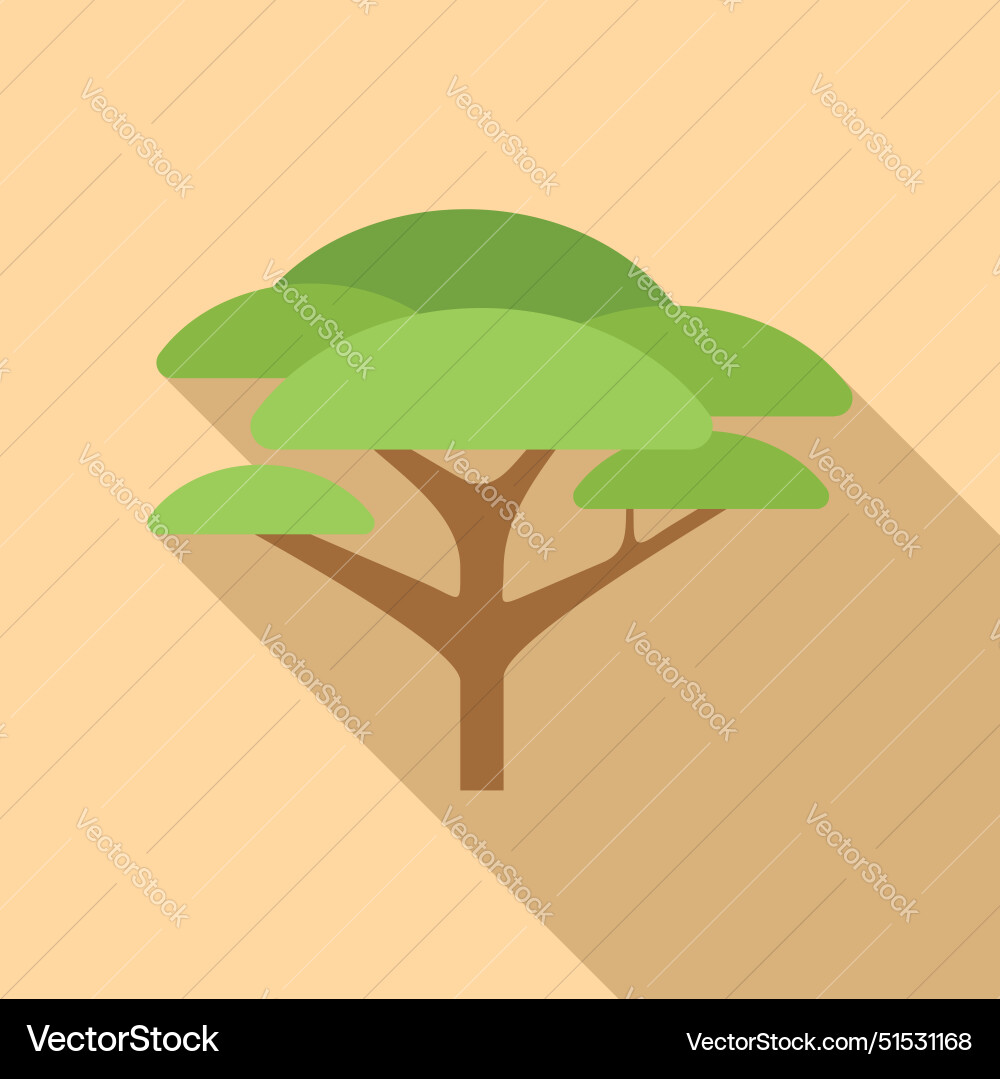 Minimalist baobab tree casting long shadow Vector Image