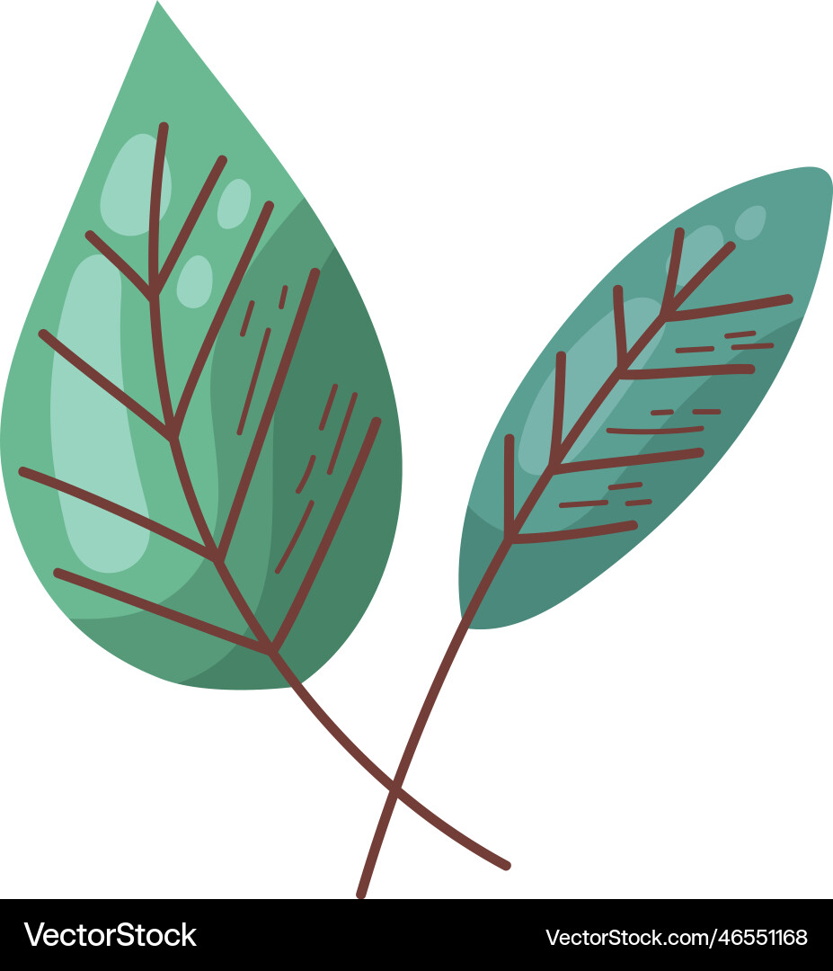 Organic growth leaves Royalty Free Vector Image