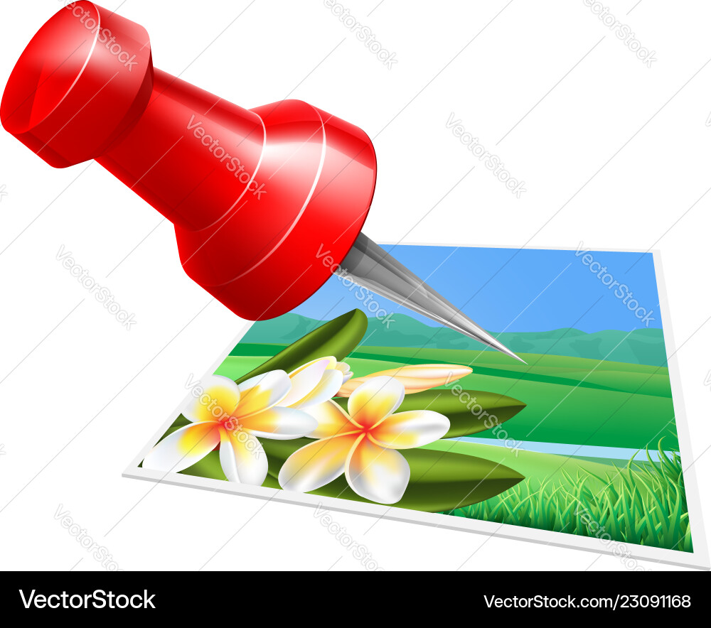 Pinning photo icon Royalty Free Vector Image - VectorStock